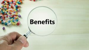 A Comprehensive Guide on FDLE Background Checks